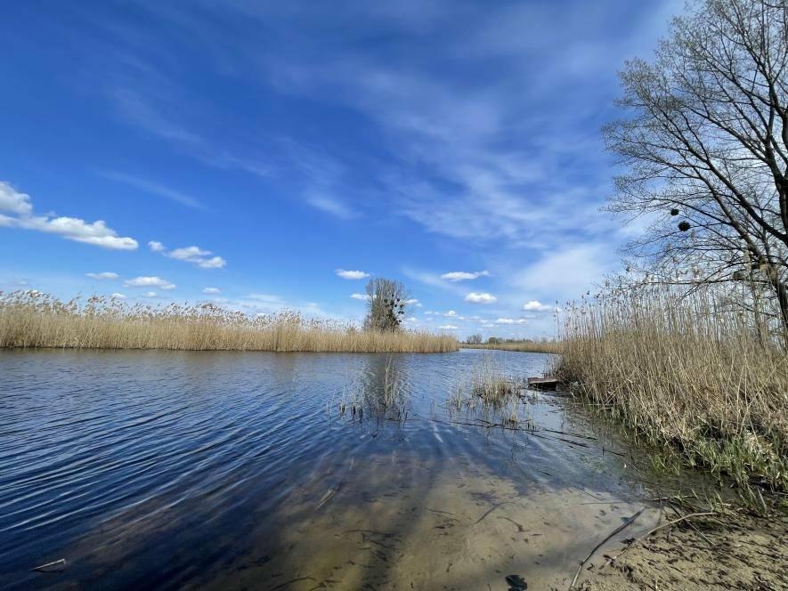 На Полтавщині прогнозують понад 20 градусів тепла | Новини