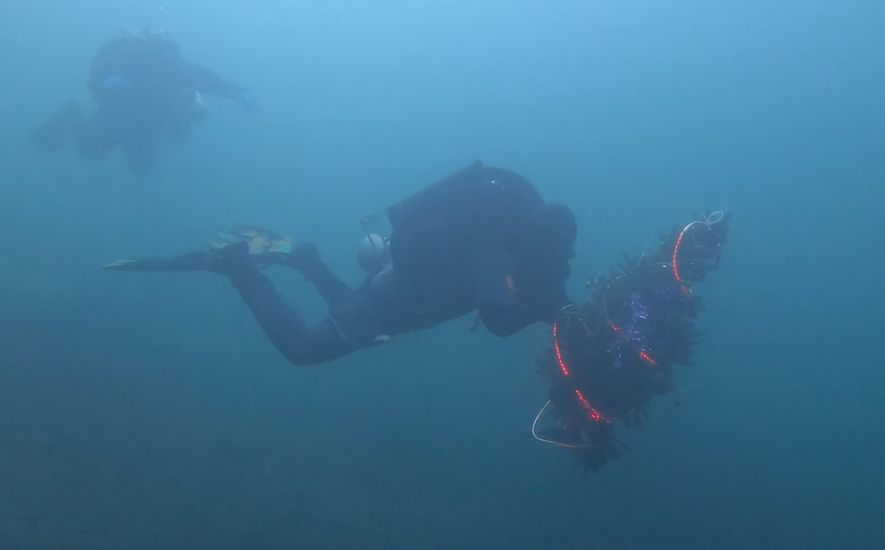 Полтавські, дніпровські та запорізькі дайвери встановили святкову ялинку на дні великого ...